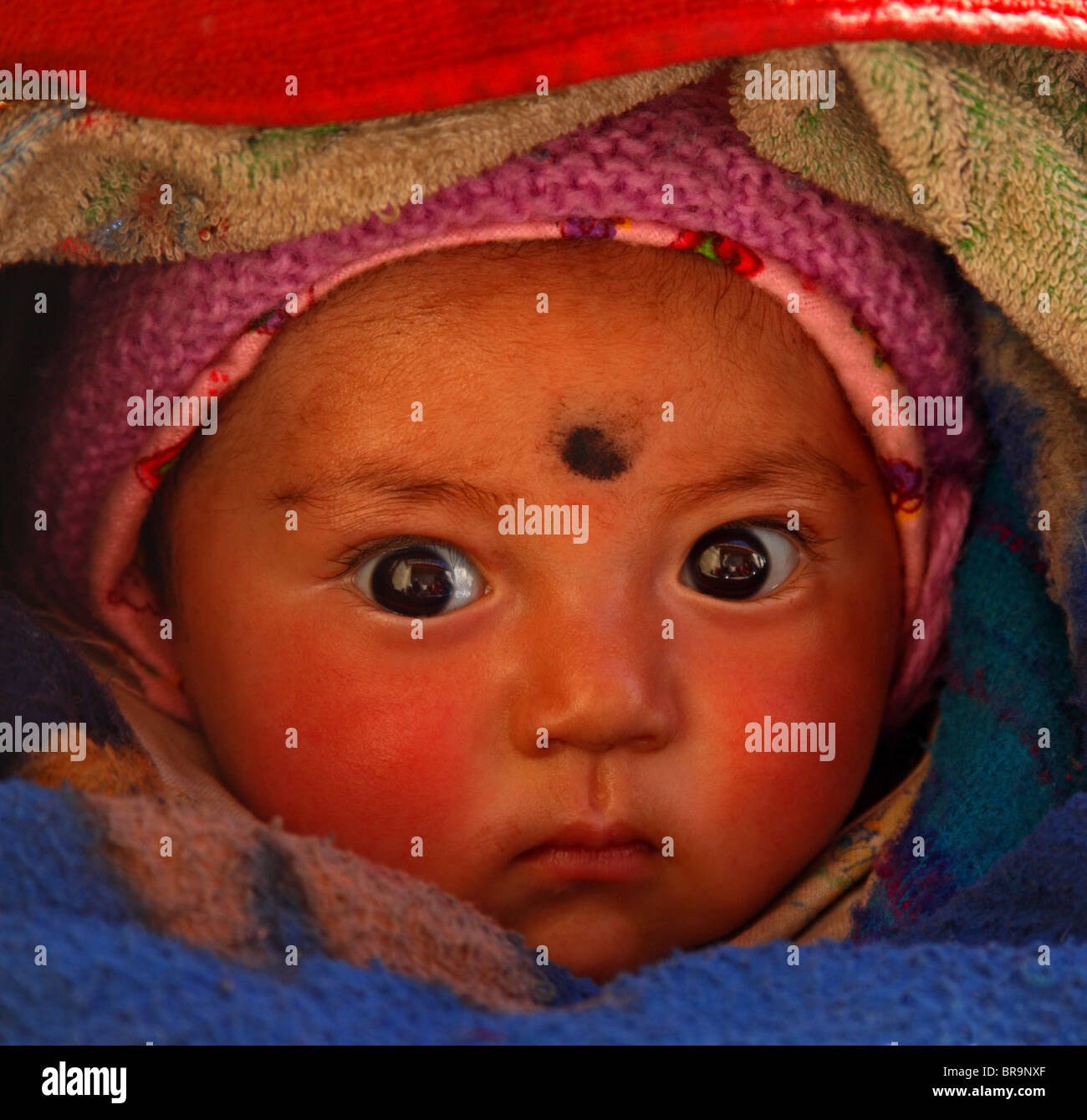 Ladakhi Baby boy Stock Photo - Alamy