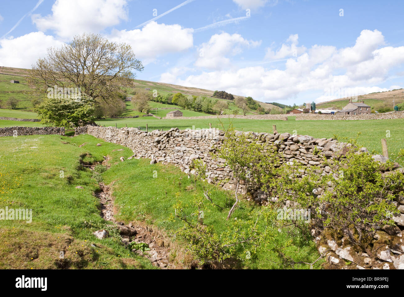 Dentdale near Cowgill in the Yorkshire Dales National Park. east of ...