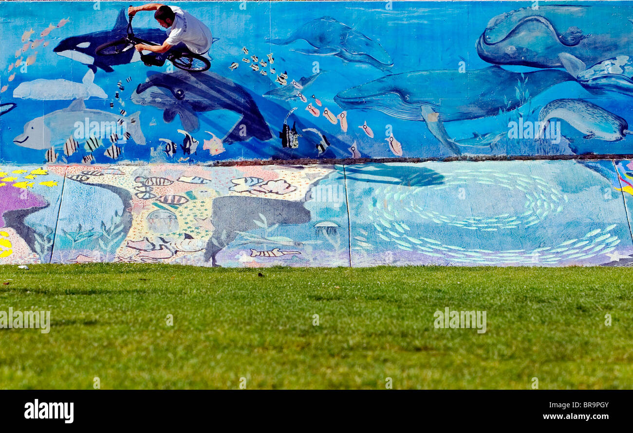 Wallride hi-res stock photography and images - Alamy