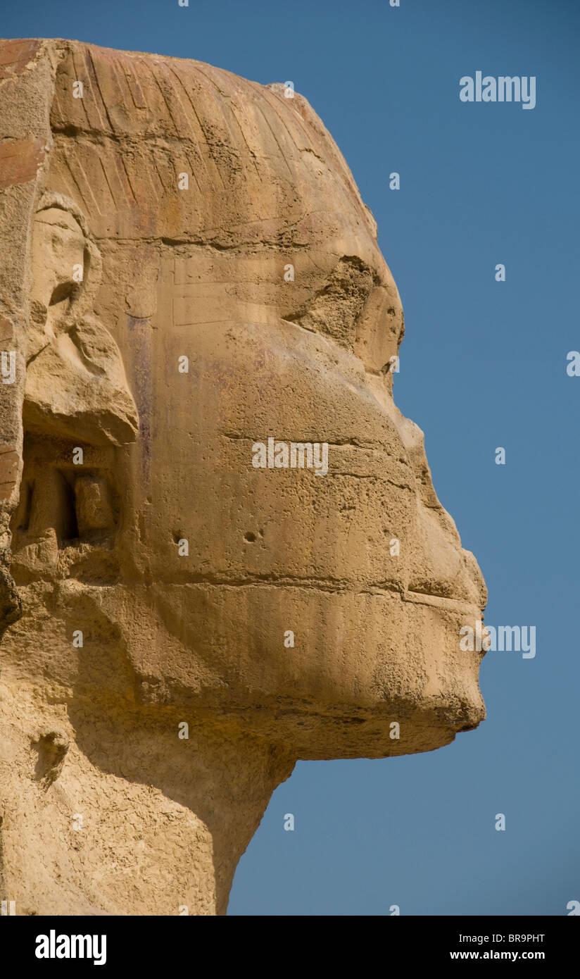 side view of the Sphinx at the Great Pyramids of Giza in Cairo Egypt ...