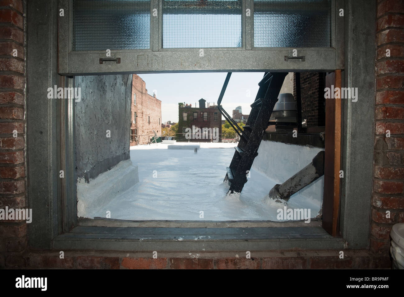 Volunteers paint the the roof of the Bowery Mission in New York with ...