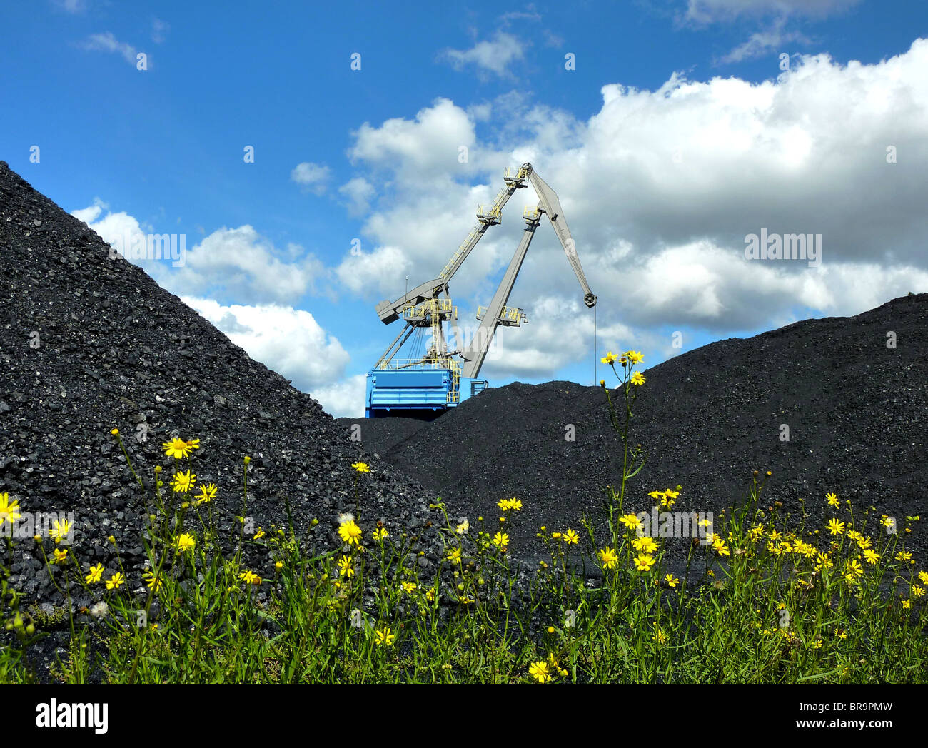 crane loading coal Stock Photo - Alamy