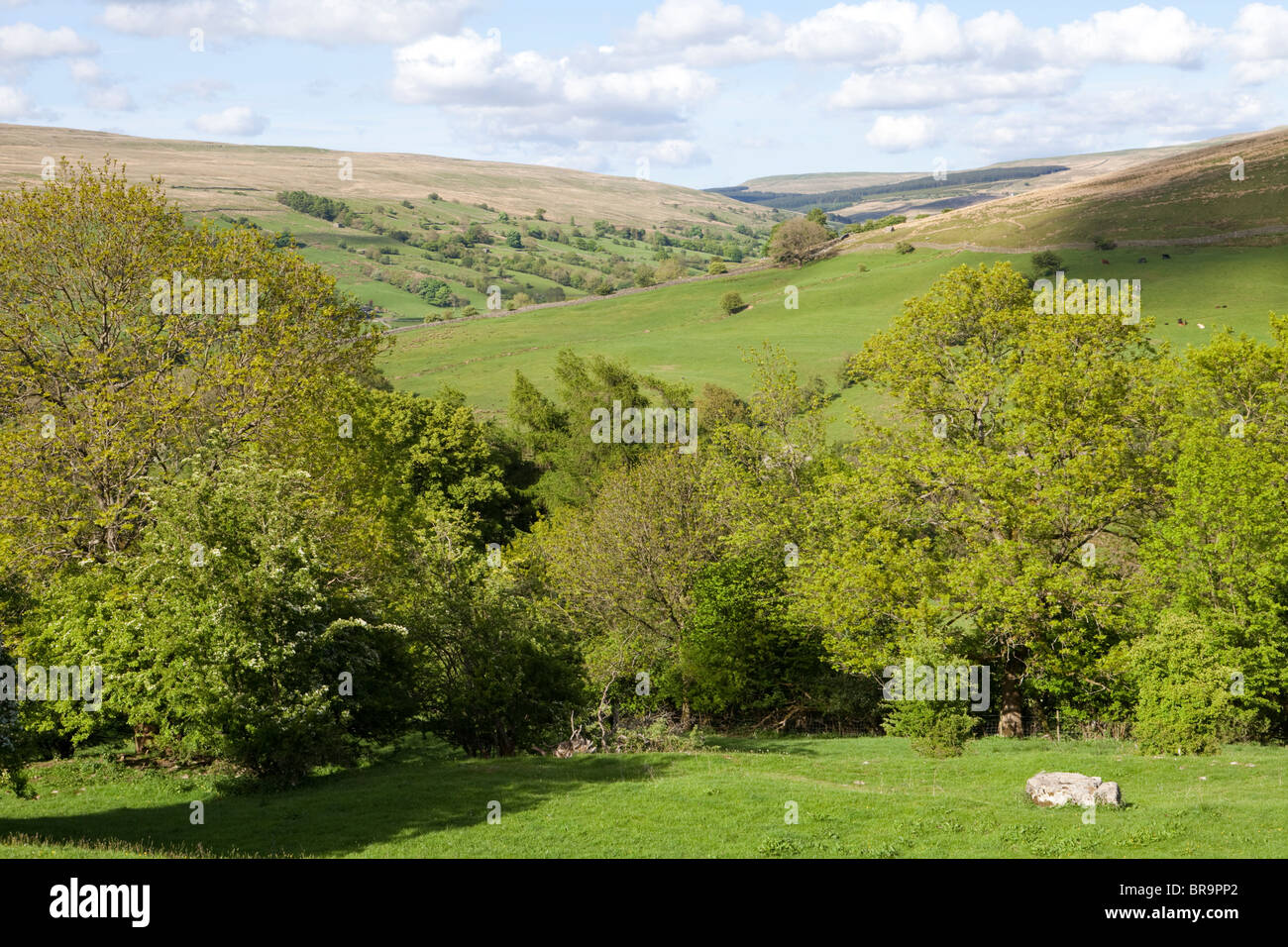 Dentdale in the Yorkshire Dales National Park, viewed from Whernside ...