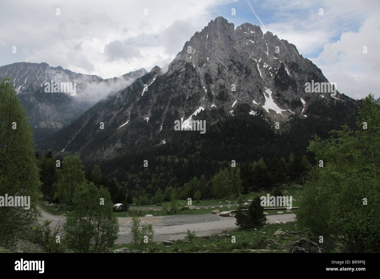 Subalpine forest under Els Encantats peak on Pyrenean Traverse Sant ...