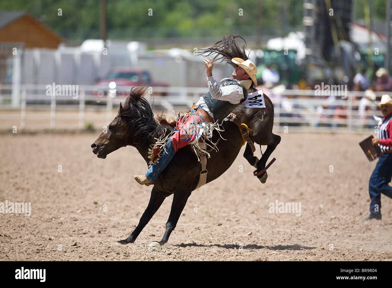 Bucking rodeo bronco hi-res stock photography and images - Alamy