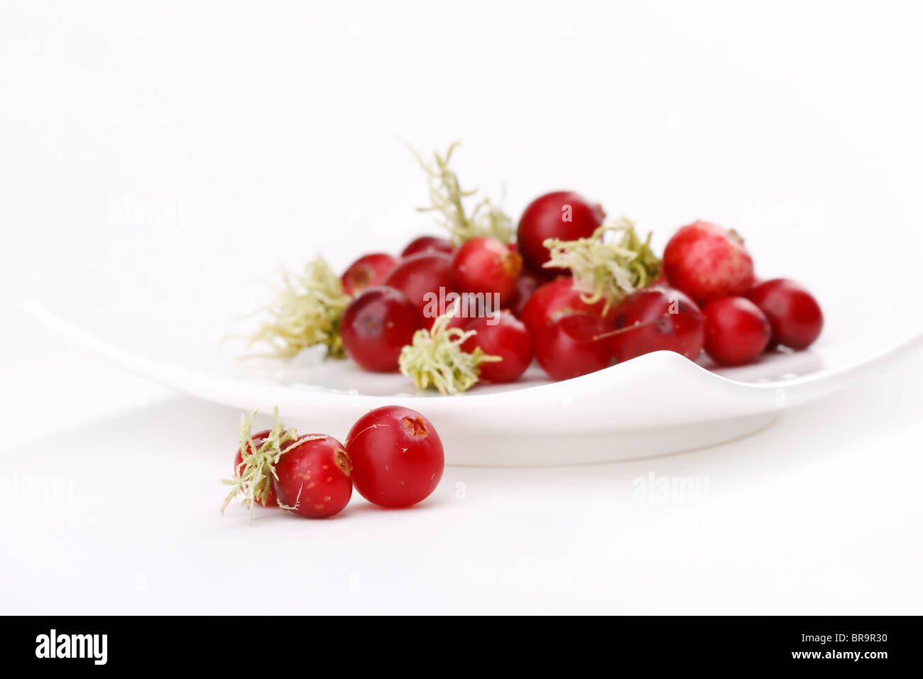 Macro detail red cranberries hi-res stock photography and images - Alamy