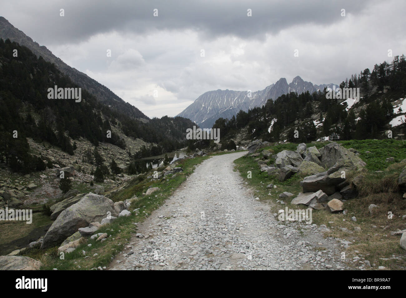 High Alpine forest and Els Encantats mountain peak on Pyrenean Traverse ...