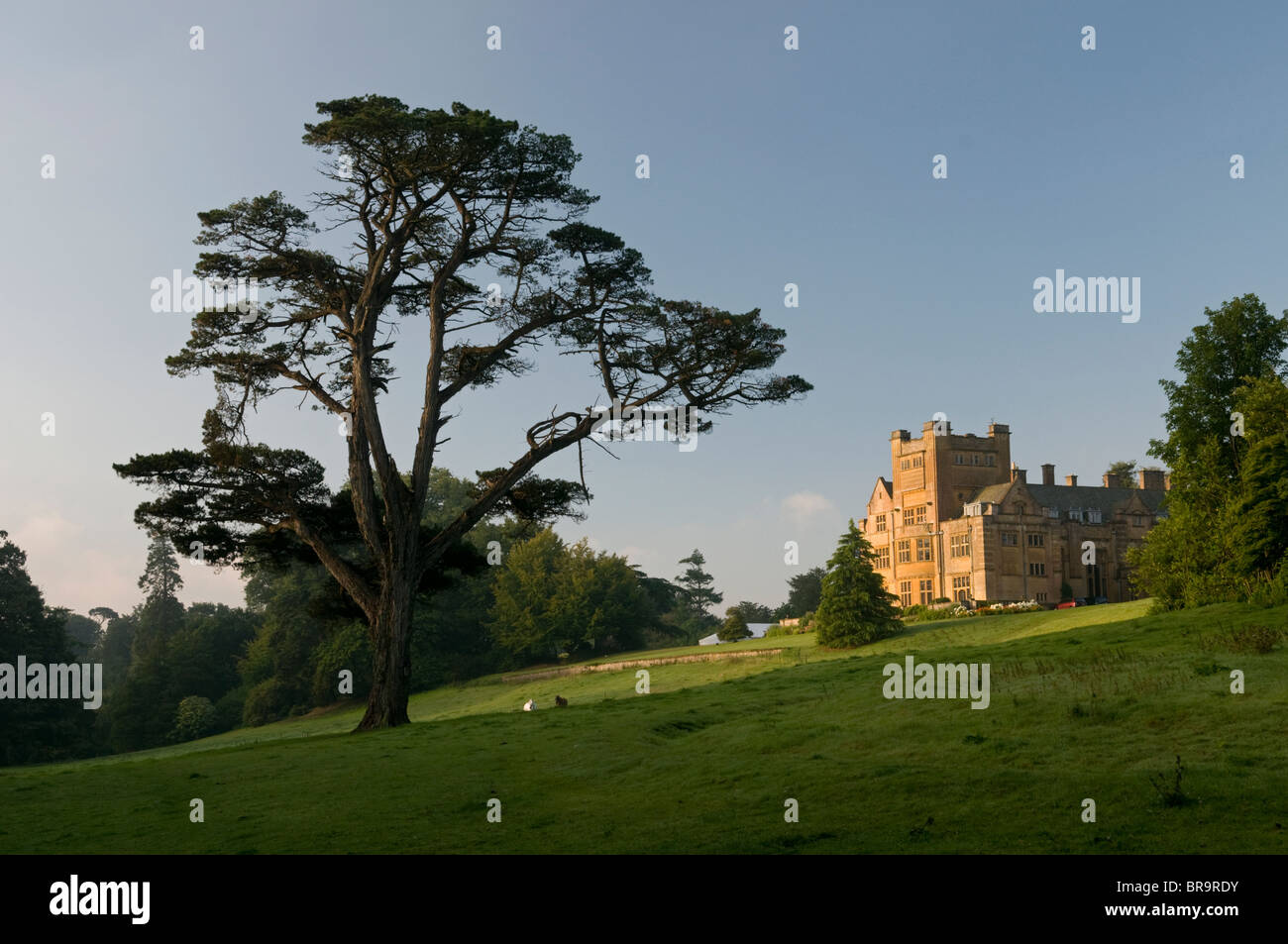 Minterne House, Dorset , England UK Stock Photo - Alamy