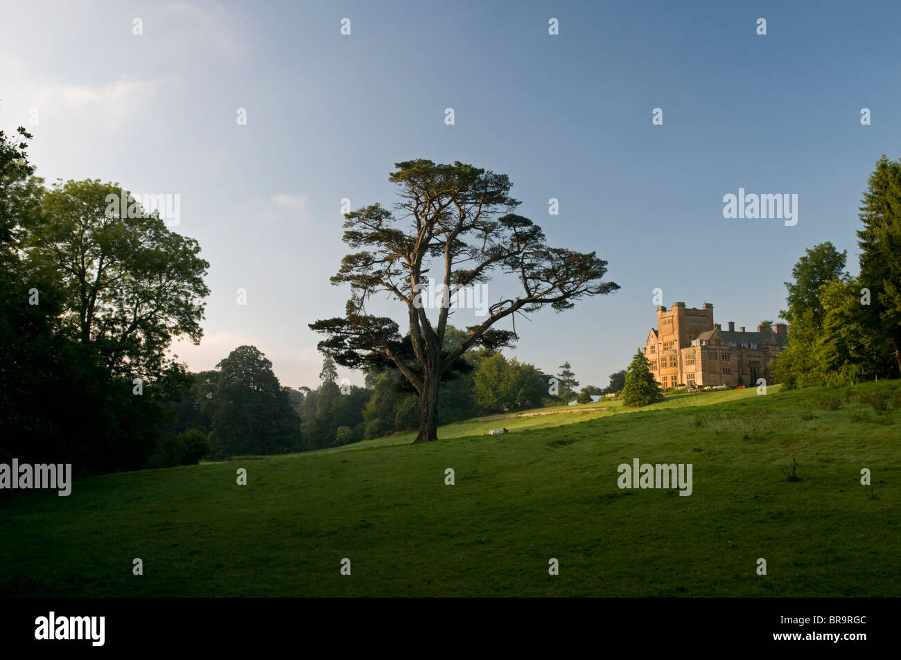 Minterne House, Dorset , England UK Stock Photo - Alamy