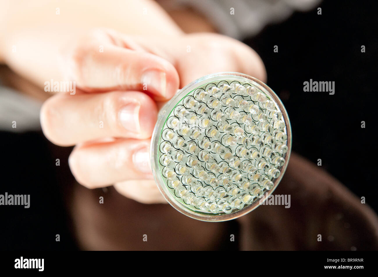 led light bulb in hand Stock Photo - Alamy