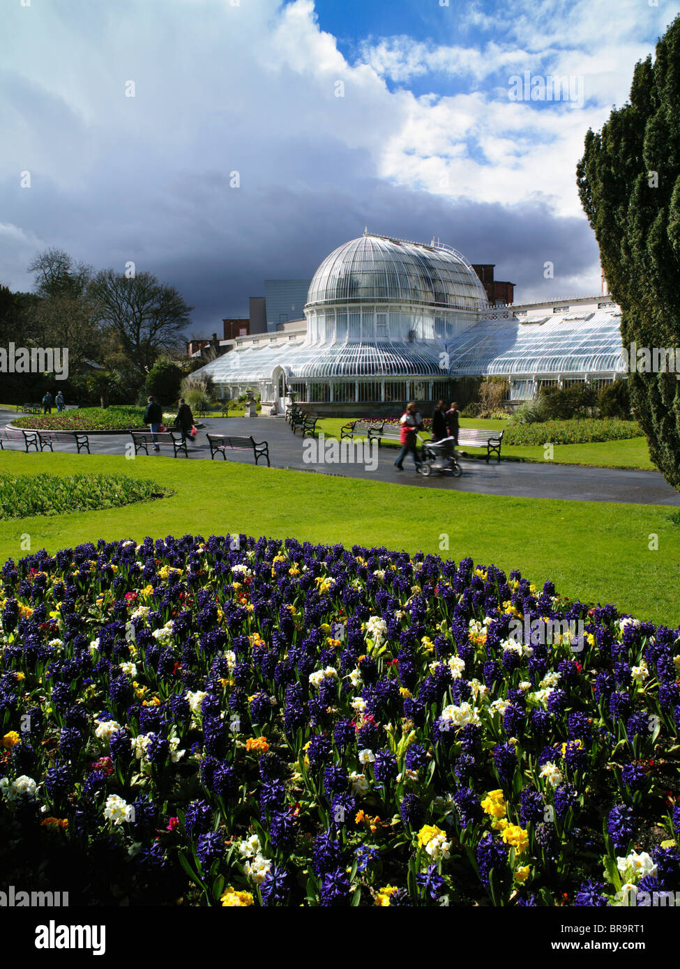 Palm House, Botanic Gardens, Belfast, Ireland Stock Photo - Alamy
