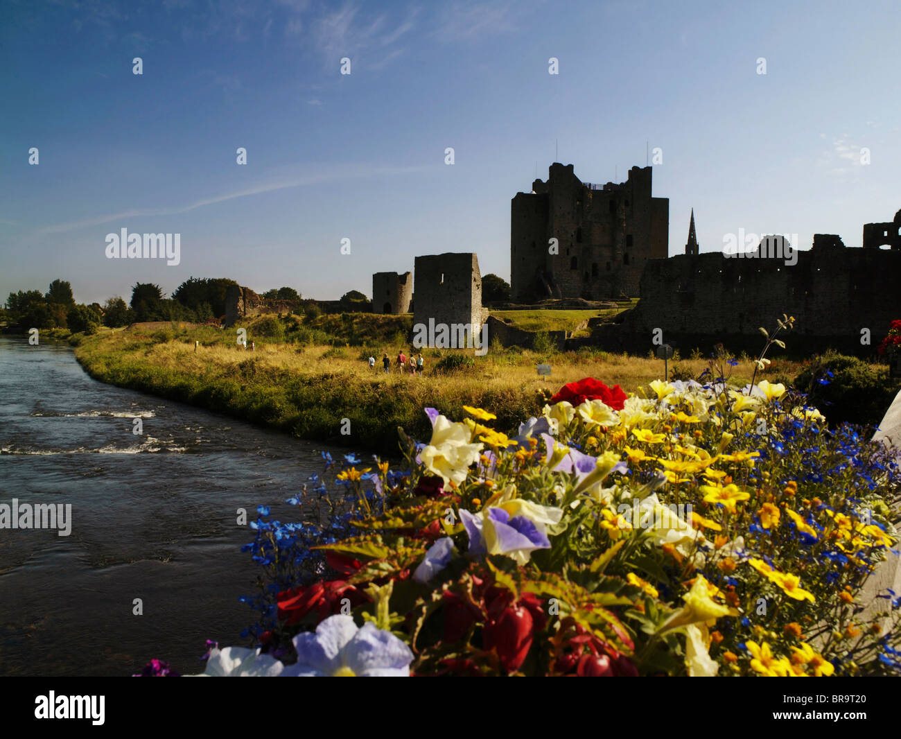 Trim Castle, Co. Meath, Ireland Stock Photo - Alamy