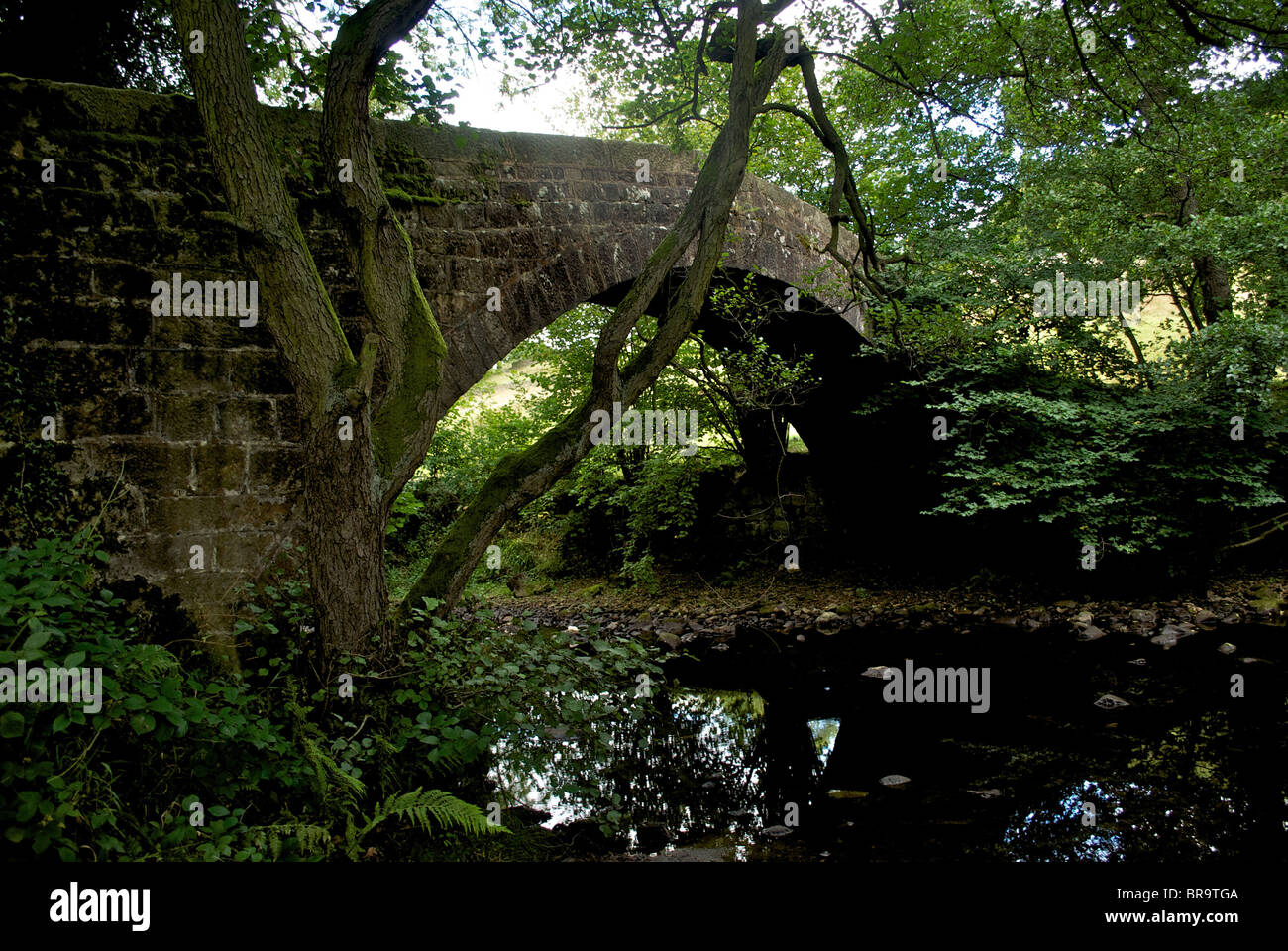 Dob park bridge hi-res stock photography and images - Alamy