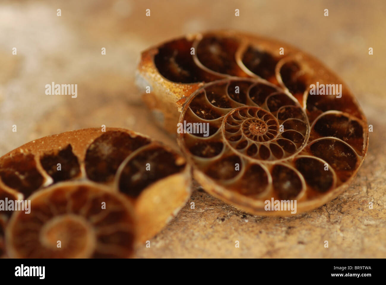 Sacred geometry hi-res stock photography and images - Alamy