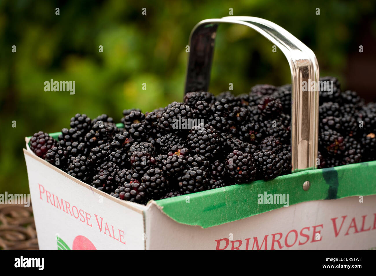 Cardboard punnet hi-res stock photography and images - Alamy