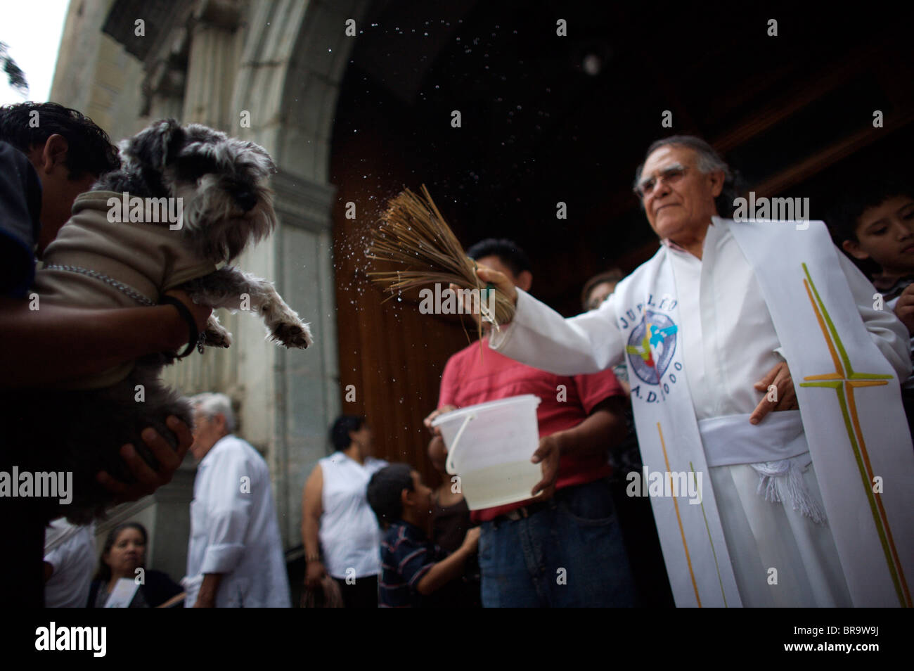 Religious animals hi-res stock photography and images - Alamy