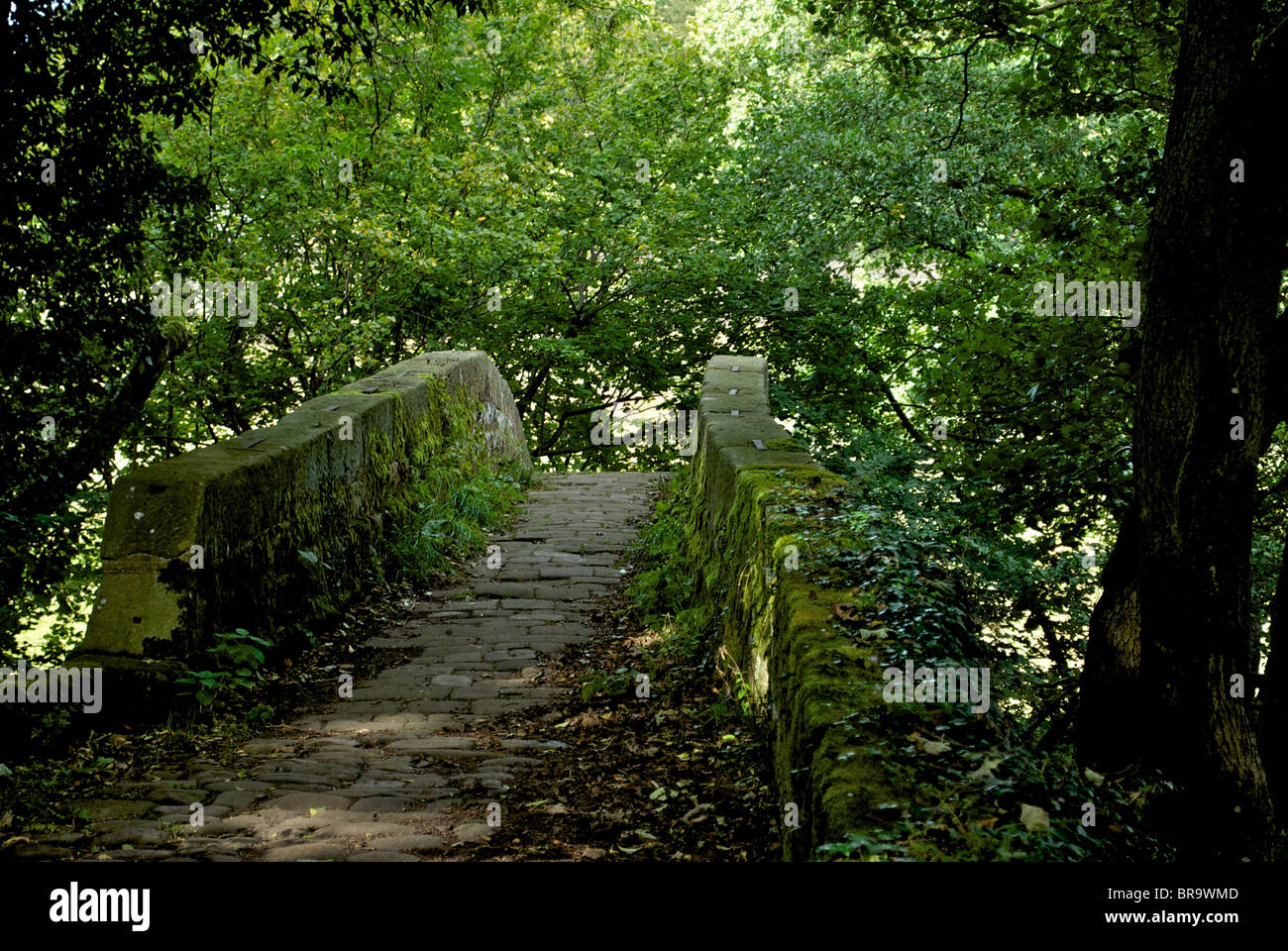 The Parapet of Dob Park Bridge a magnificent packhorse bridge is on an ...