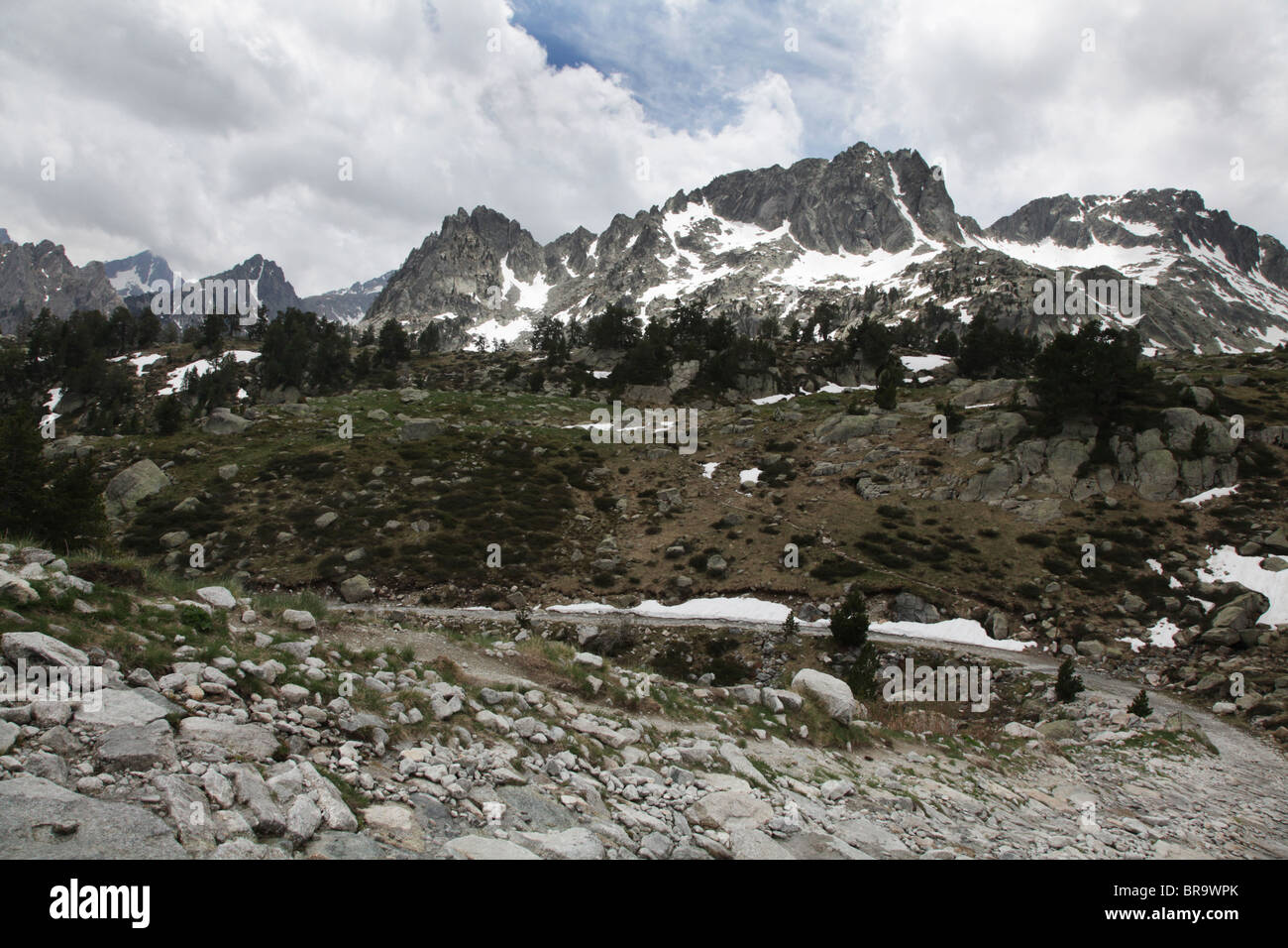 High Alpine forest and mountain cirque on Pyrenean Traverse track at D ...