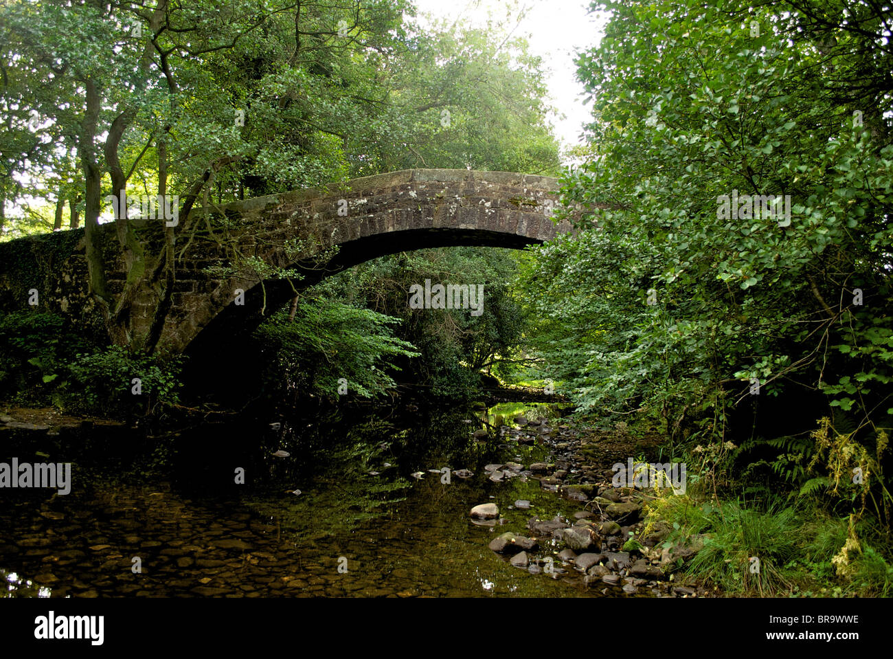 Dob Park Bridge a magnificent packhorse bridge is on an unsurfaced lane ...
