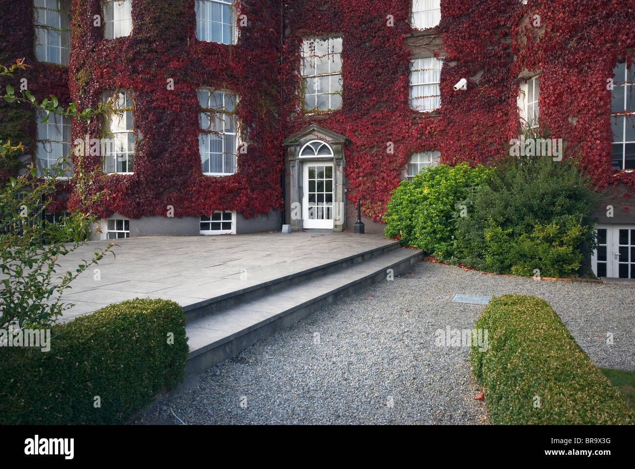 Ivy-Covered Butler House; Kilkenny, County Kilkenny, Ireland Stock ...