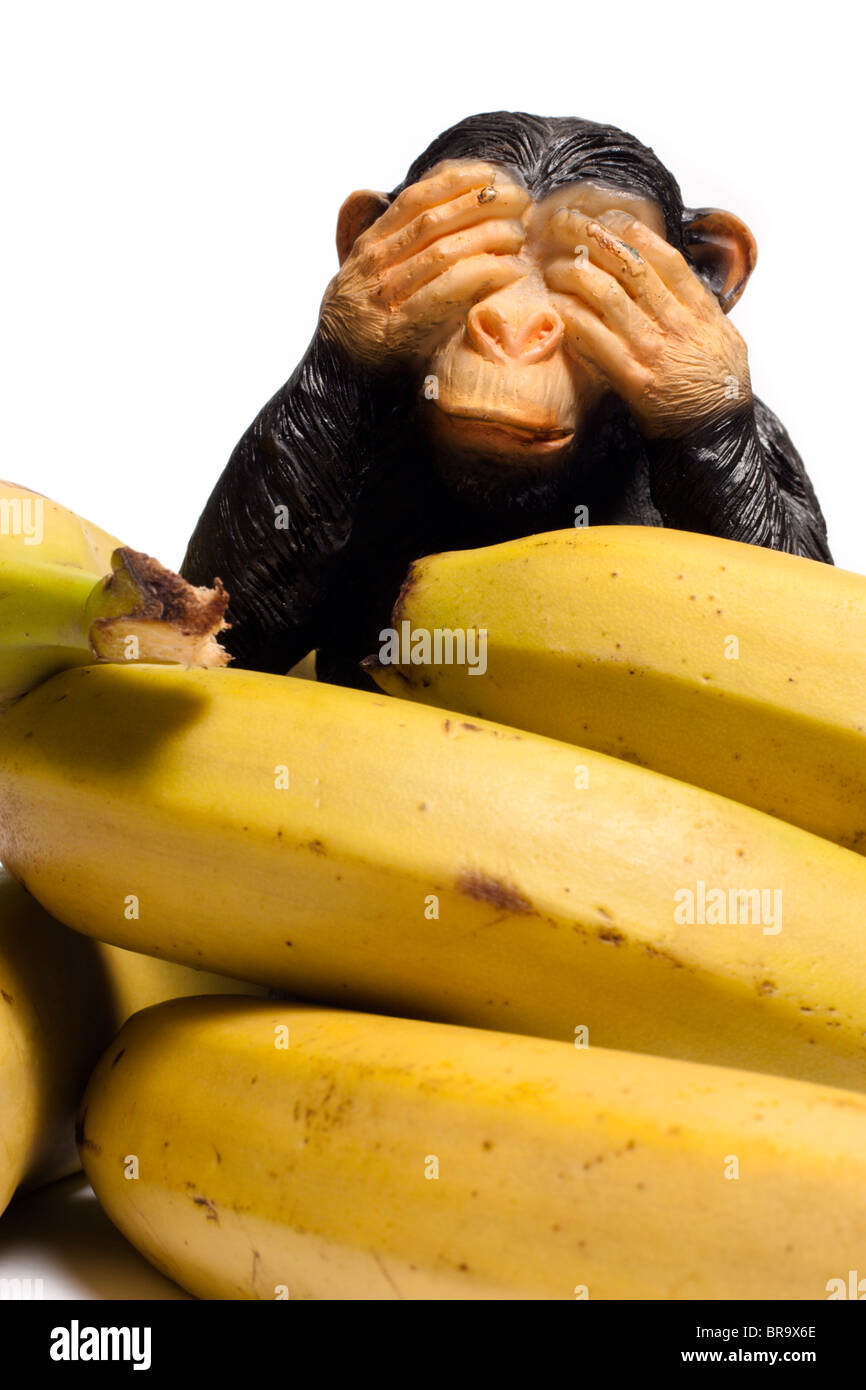Monkey on a Diet Stock Photo - Alamy