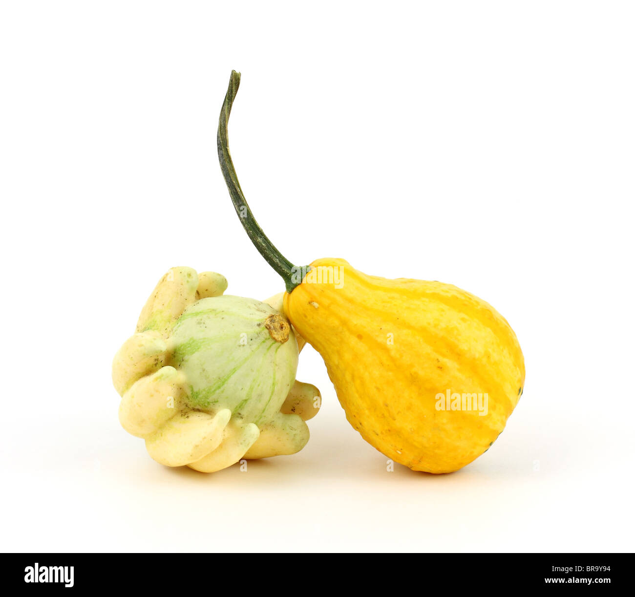 Decorative gourds hi-res stock photography and images - Alamy