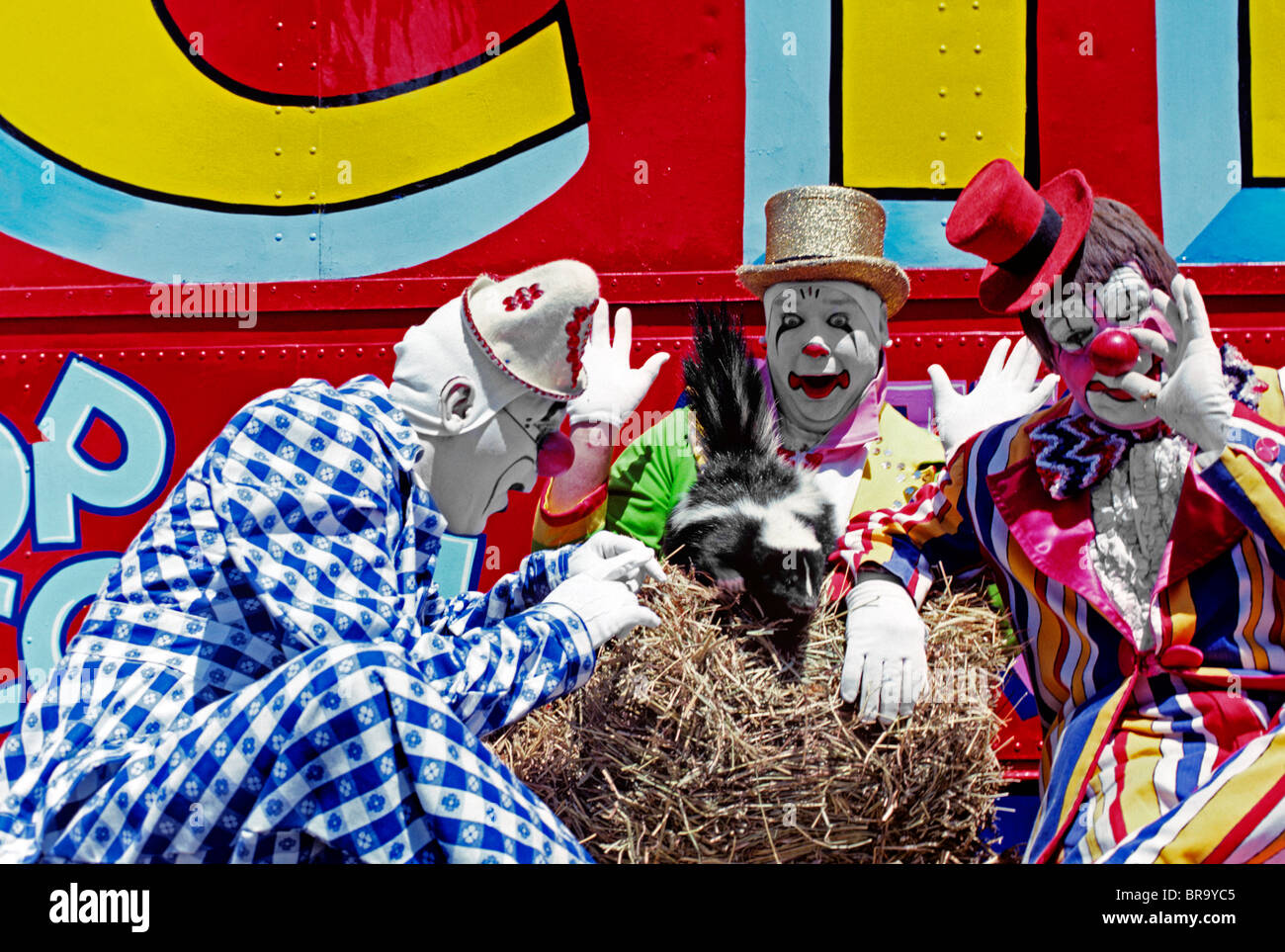 THREE CLOWNS SMELL A SKUNK ON HAY BALE Stock Photo - Alamy