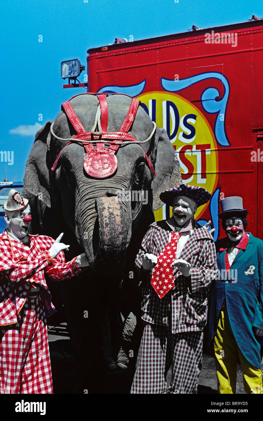 Elephant clowns hi-res stock photography and images - Alamy