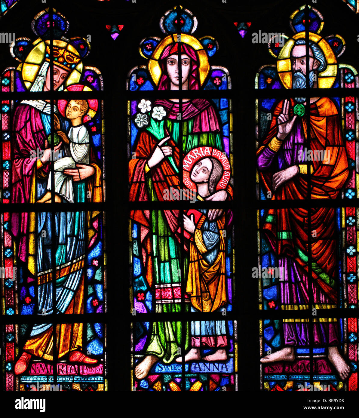 Stained glass Saint John's the Baptist cathedral Wroclaw Poland Stock ...