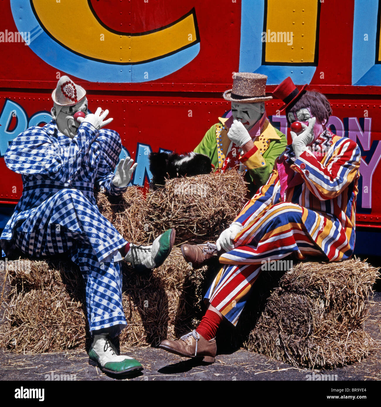 3 CIRCUS CLOWNS HOLDING THEIR NOSES WITH SKUNK ON HAY BALE Stock Photo ...