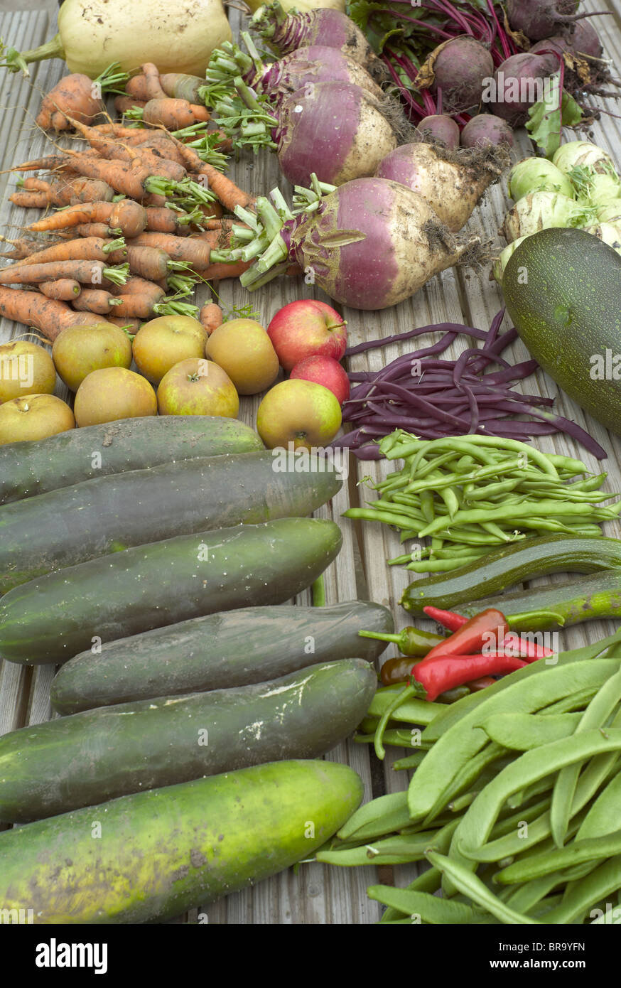 A variety of vegetables on display just picked from a community run ...