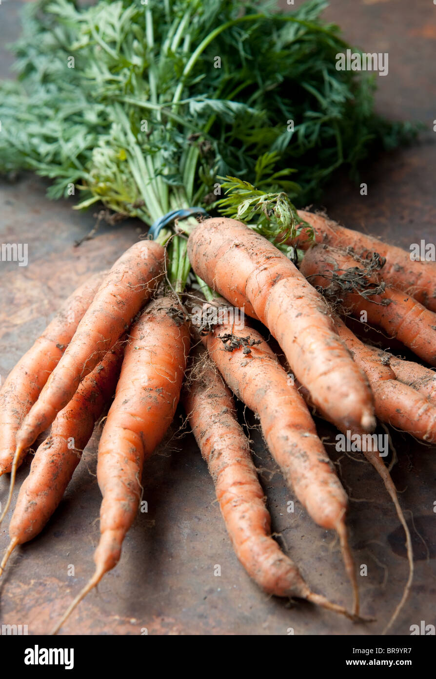 Bunch fresh carrots on rustic hi-res stock photography and images - Alamy