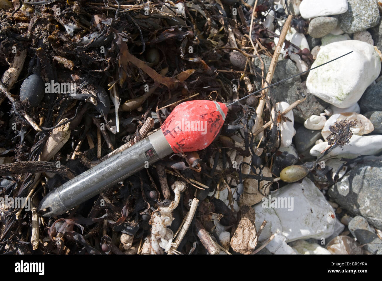 Marine satellite Tag from Basking Shark Stock Photo - Alamy