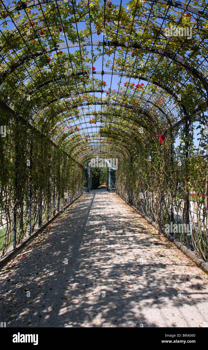 Vienna park hi-res stock photography and images - Alamy