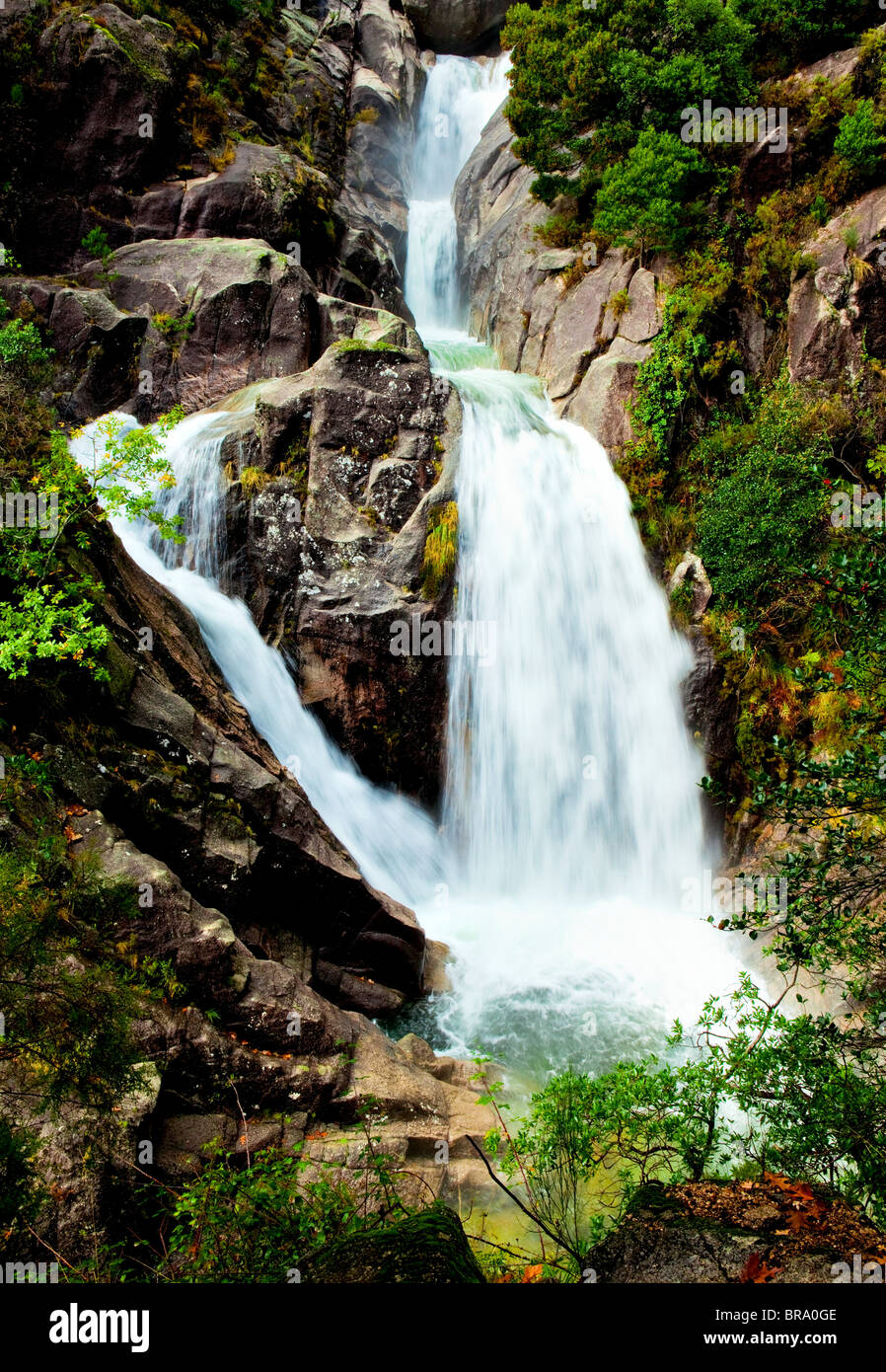 Beautiful waterfall of fresh and pure water Stock Photo - Alamy