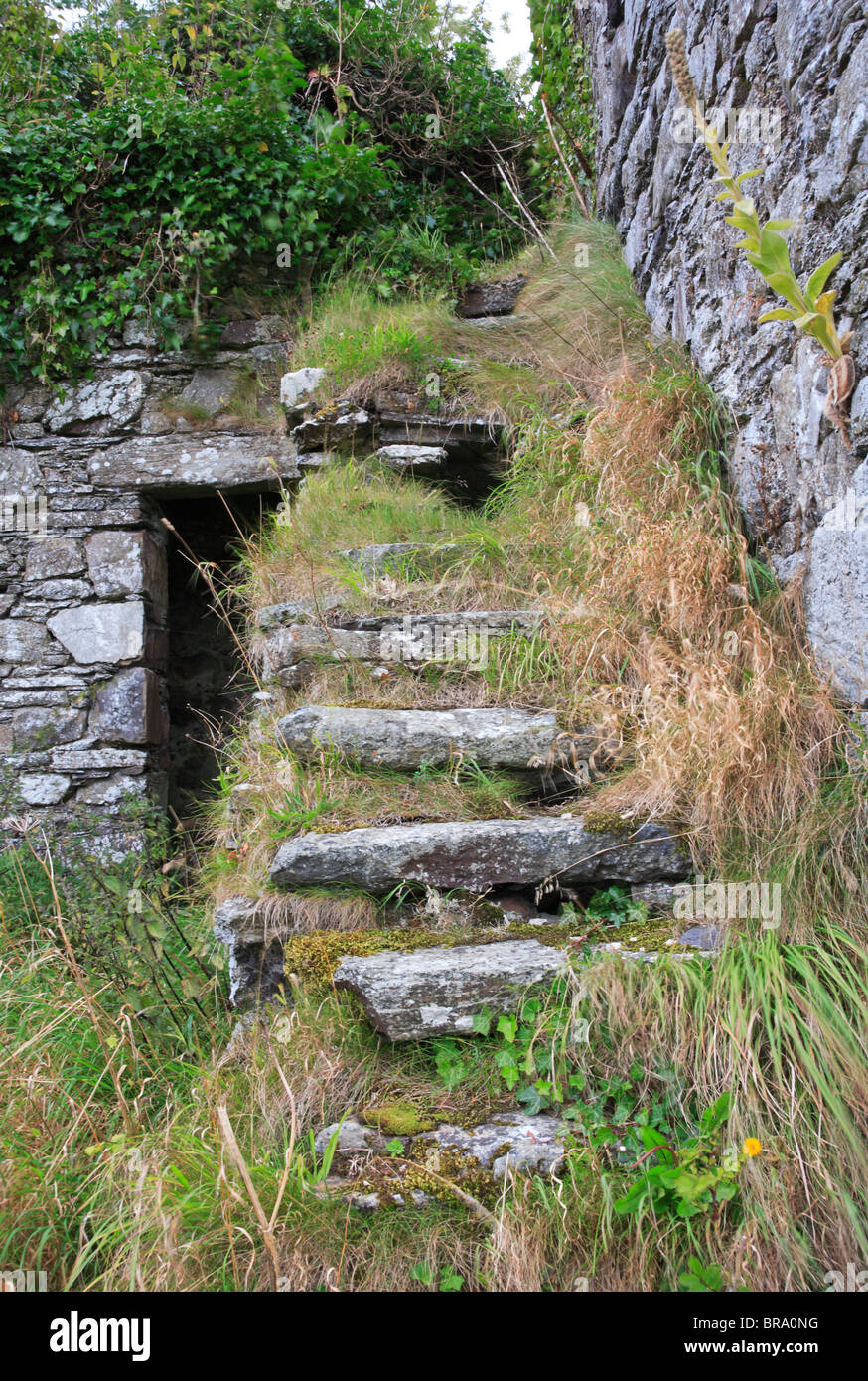 Old stone steps at Gight Castle by the River Ythan, Methlick ...