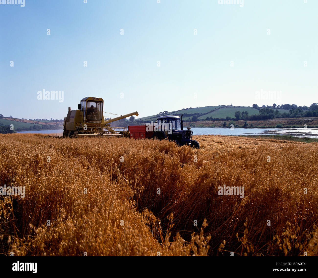 Harvesting Crops, Co. Down, Ireland Stock Photo - Alamy