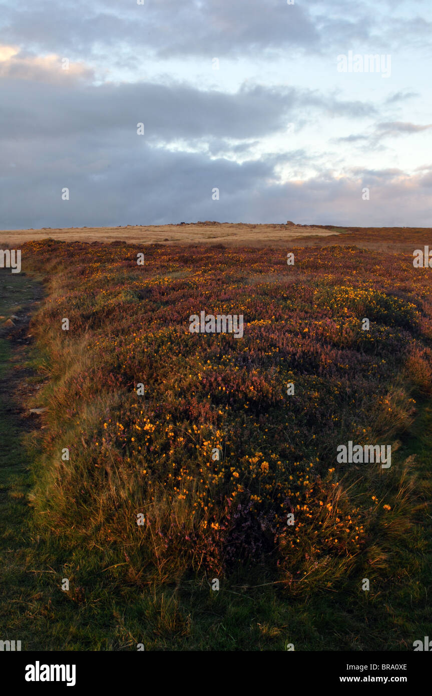 Carningli hi-res stock photography and images - Alamy