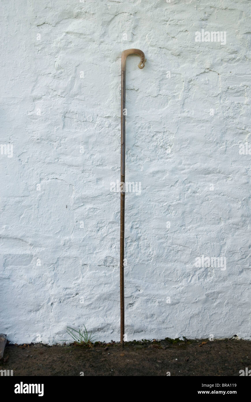 Sheep crook stick Stock Photo - Alamy