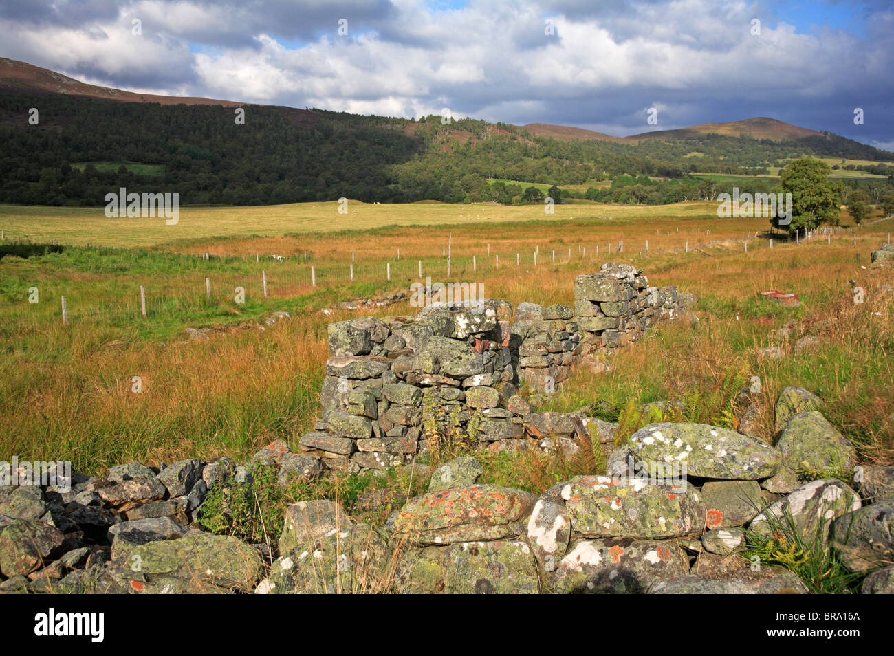 Inver scotland stone hi-res stock photography and images - Alamy
