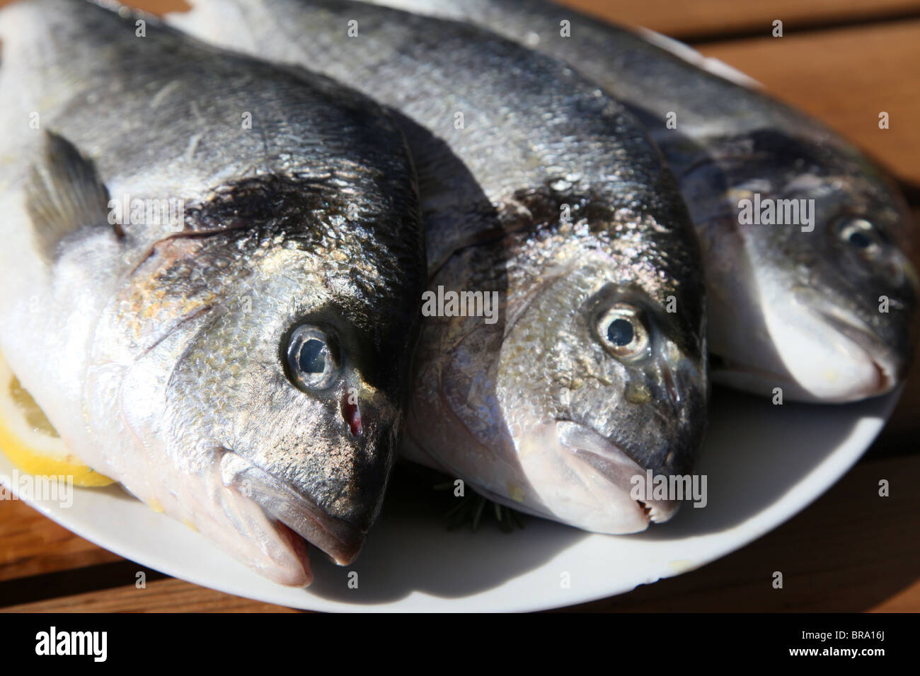 Silver bream hi-res stock photography and images - Alamy