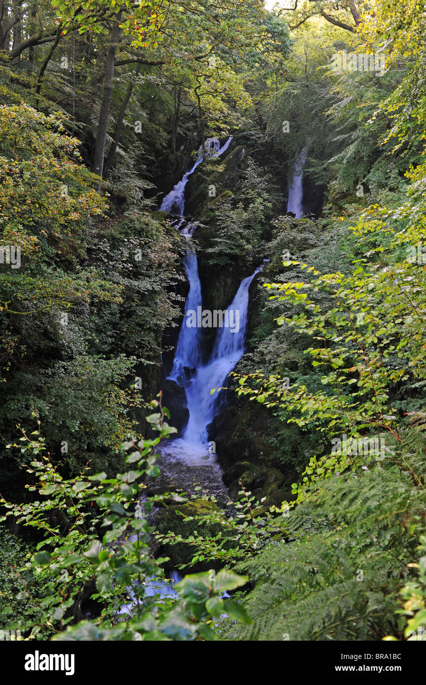 Stock ghyll waterfalls ambleside hi-res stock photography and images ...