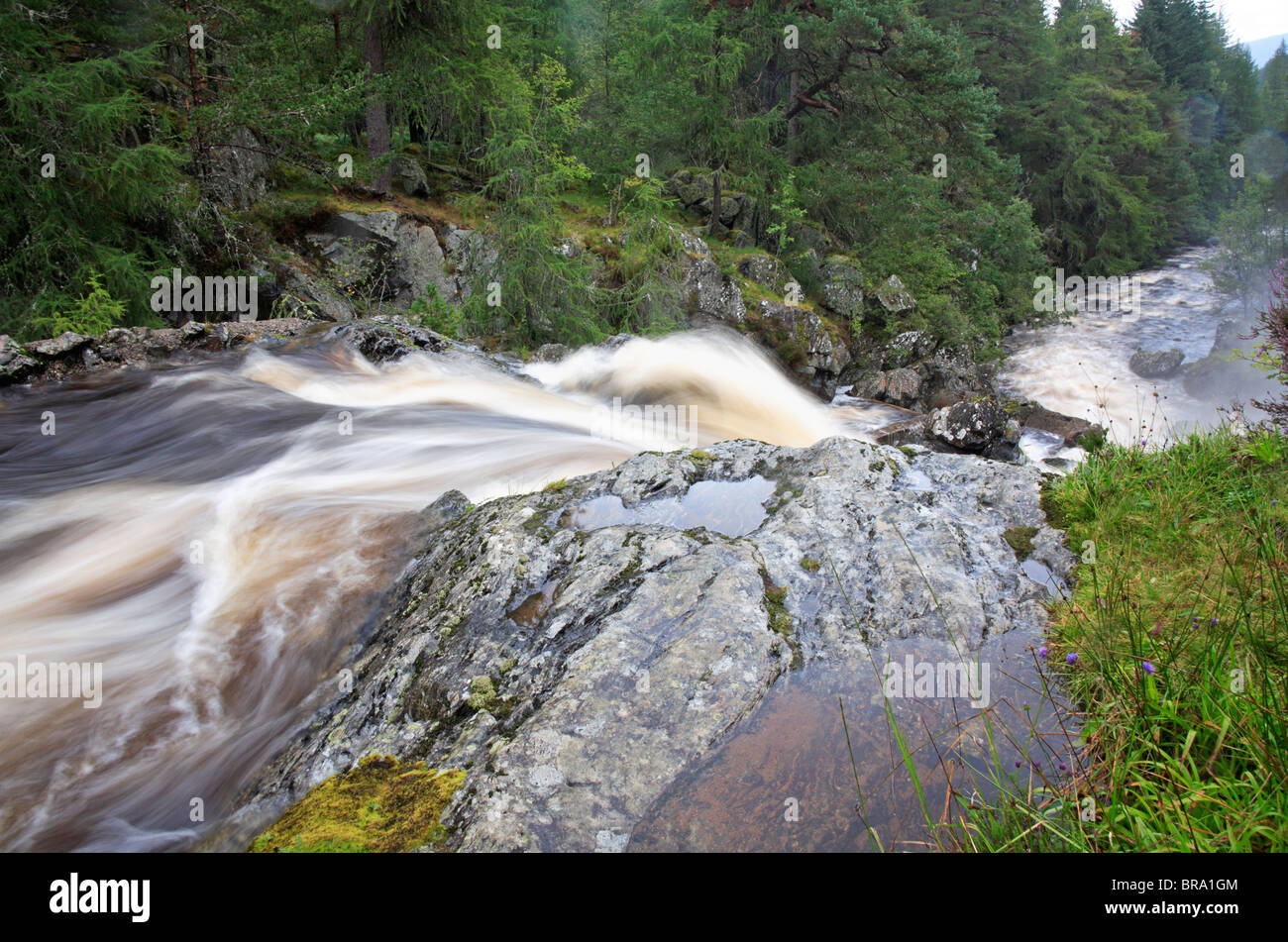 River muick hi-res stock photography and images - Alamy