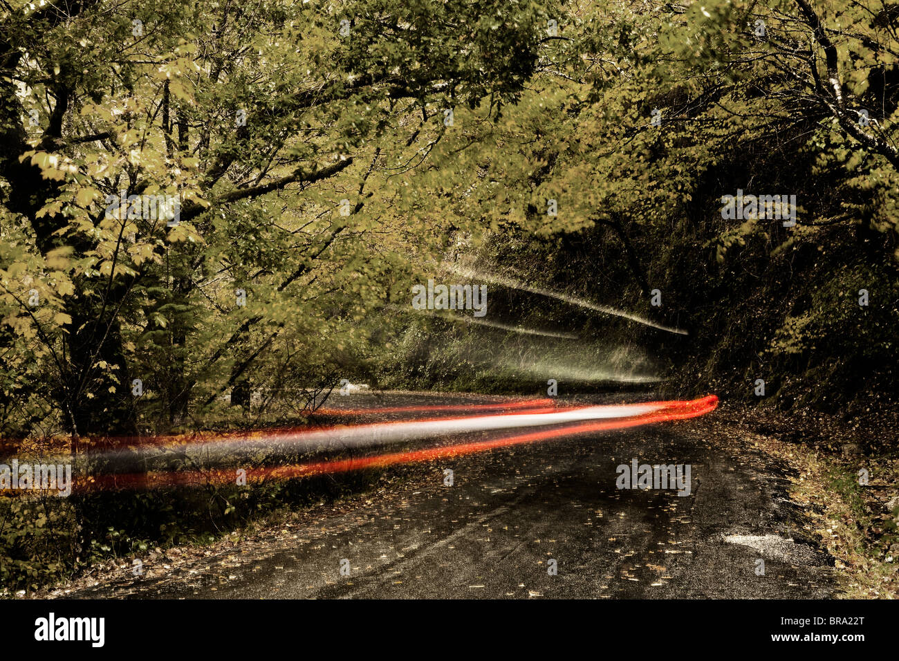 Light effects of a car in motion blur on road with colored trees Stock ...