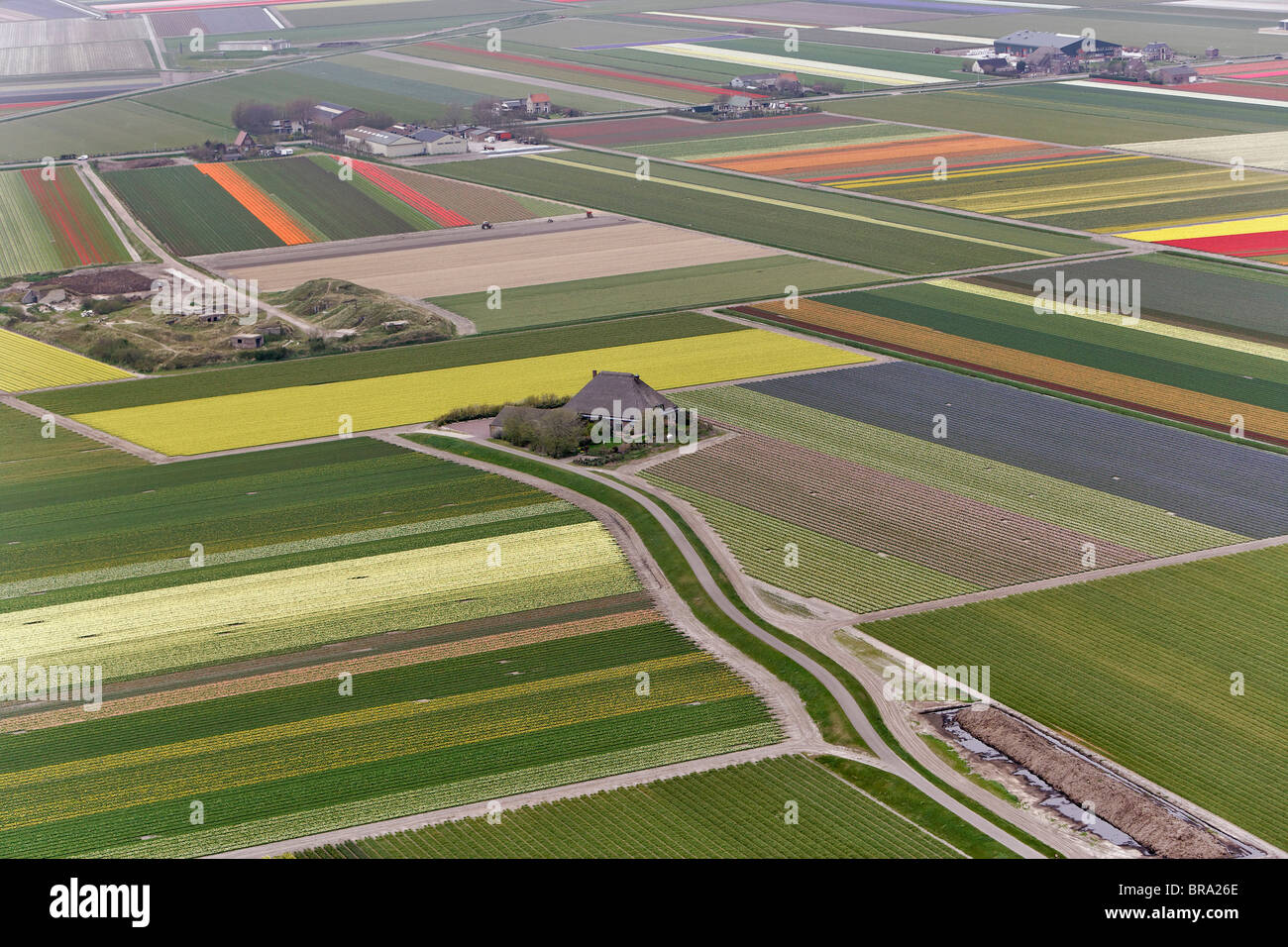 Aerial view of flower field patterns surrounding Amsterdam, Holland ...