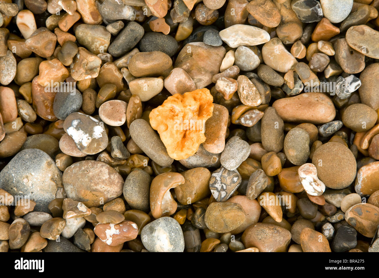 Orange polystyrene foam on rounded shingle beach pebbles Stock Photo ...