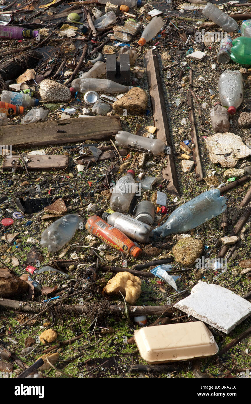 Debris and rubbish floating on inland waterway,Salford Quays,Salford ...