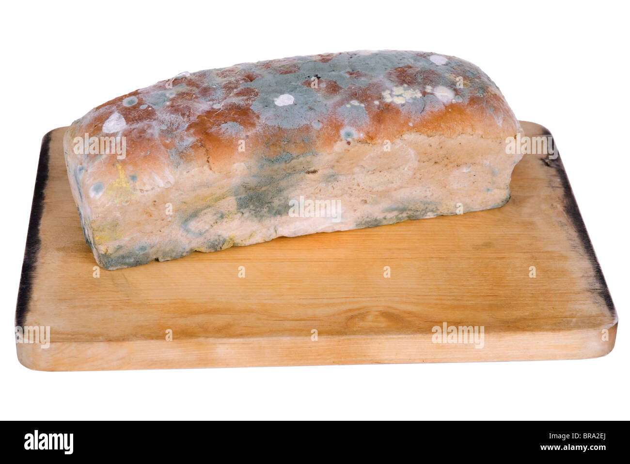 Loaf of moldy bread on white Stock Photo - Alamy