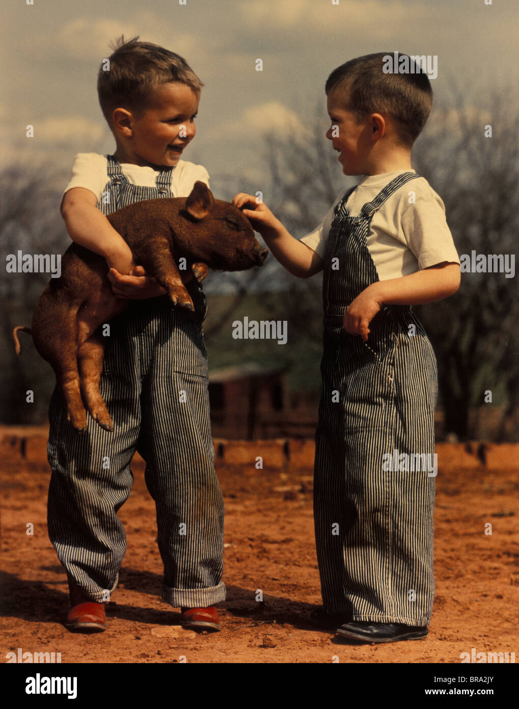 TWO SMALL BOYS WITH PIGLET Stock Photo - Alamy