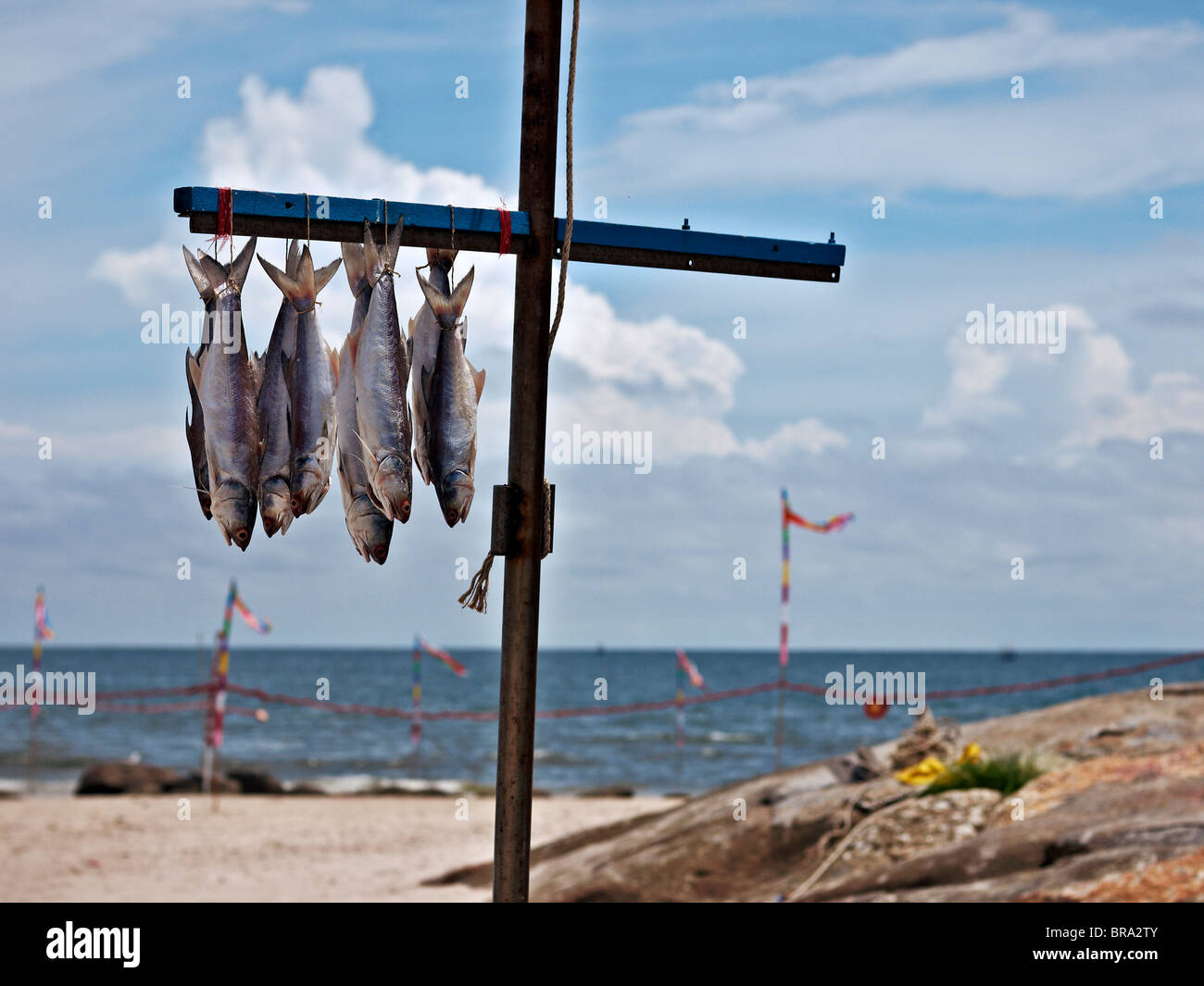 Daily catch of fresh fish hanging out to dry from a fishing boat mast ...